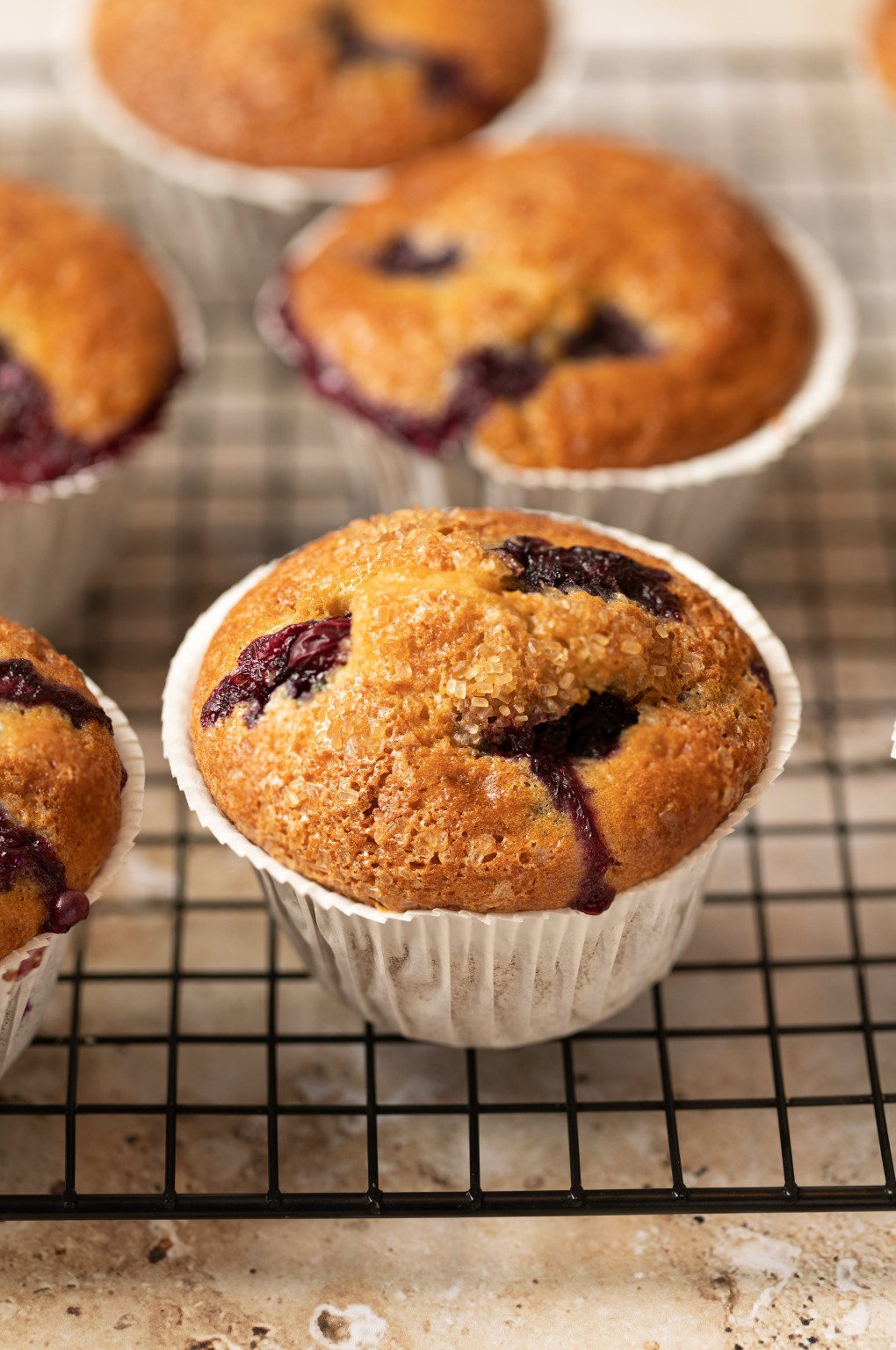 Blueberry Yogurt Muffins - Healthy Yogurt Muffins