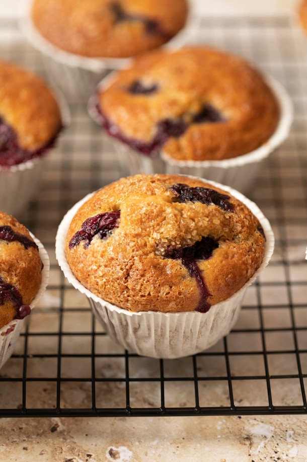 Blueberry Yogurt Muffins - Healthy Yogurt Muffins