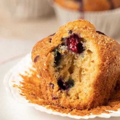Blueberry Yogurt Muffins - Healthy Yogurt Muffins