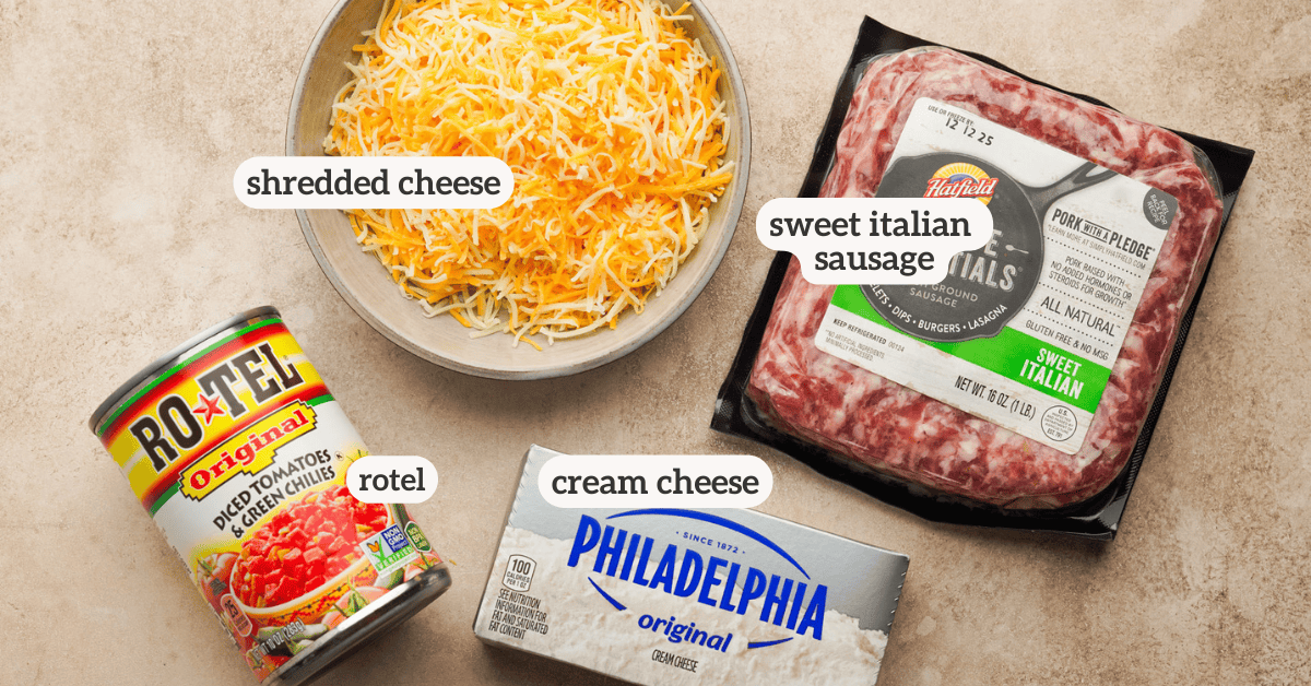 Easy Sausage Rotel Dip - Mad About Food